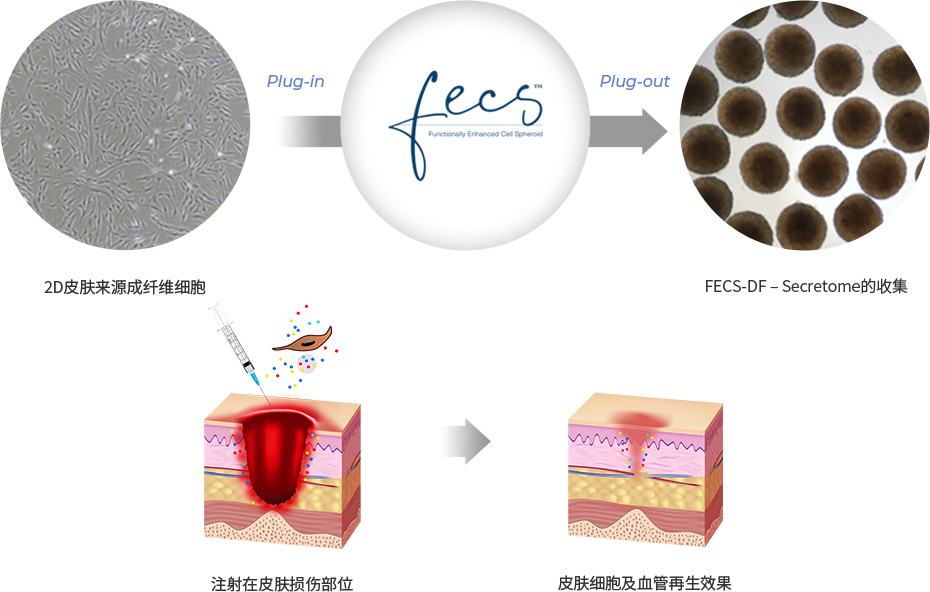 S.BIOMEDICS | Secretome