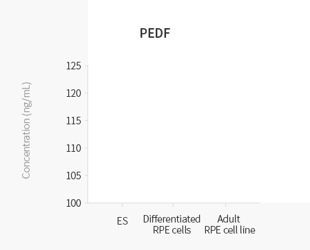 S.BIOMEDICS | Cell Therapy Product